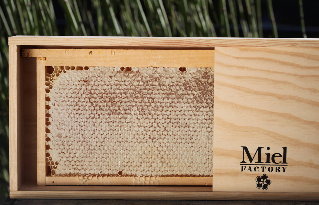 Le guide des miels en rayons – Miel Factory