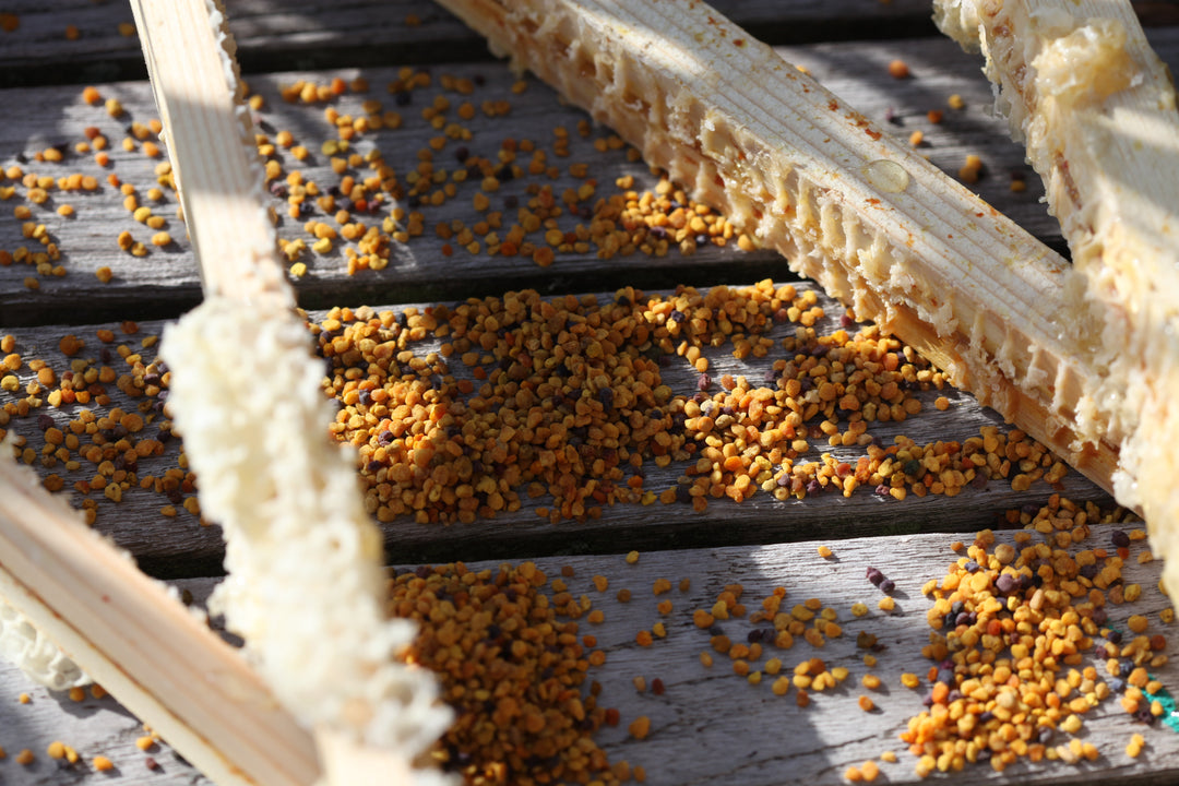 Le guide complet du pollen – Miel Factory